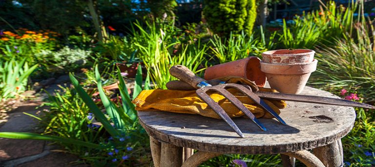Top Gardening Forks - Gardening Guidance